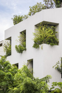Living Rooms: 8 Verdant Homes That Invert the 'Tree House' Typology